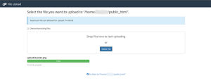 Easy Steps on How to Upload Your Website Using cPanel or FTP